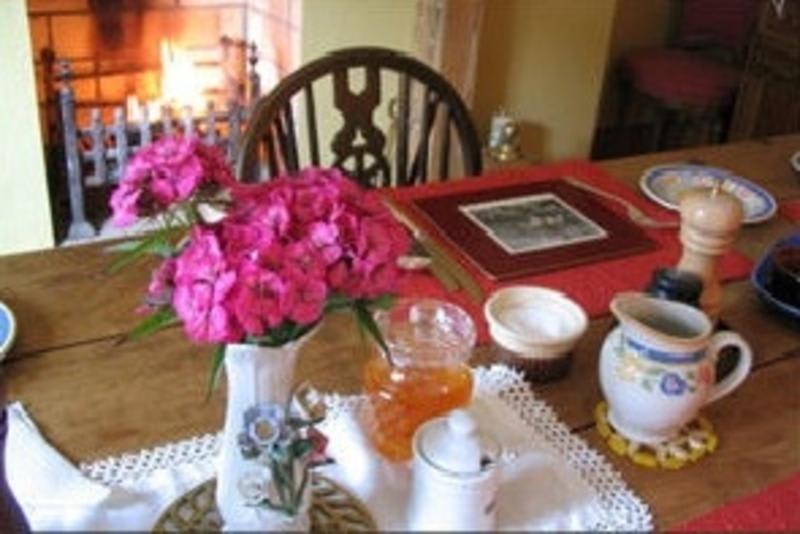 The Yellow House - Navan