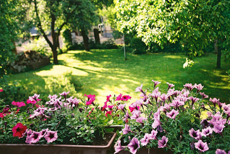 Private Room In A Cosy Lviv House - Ukraine