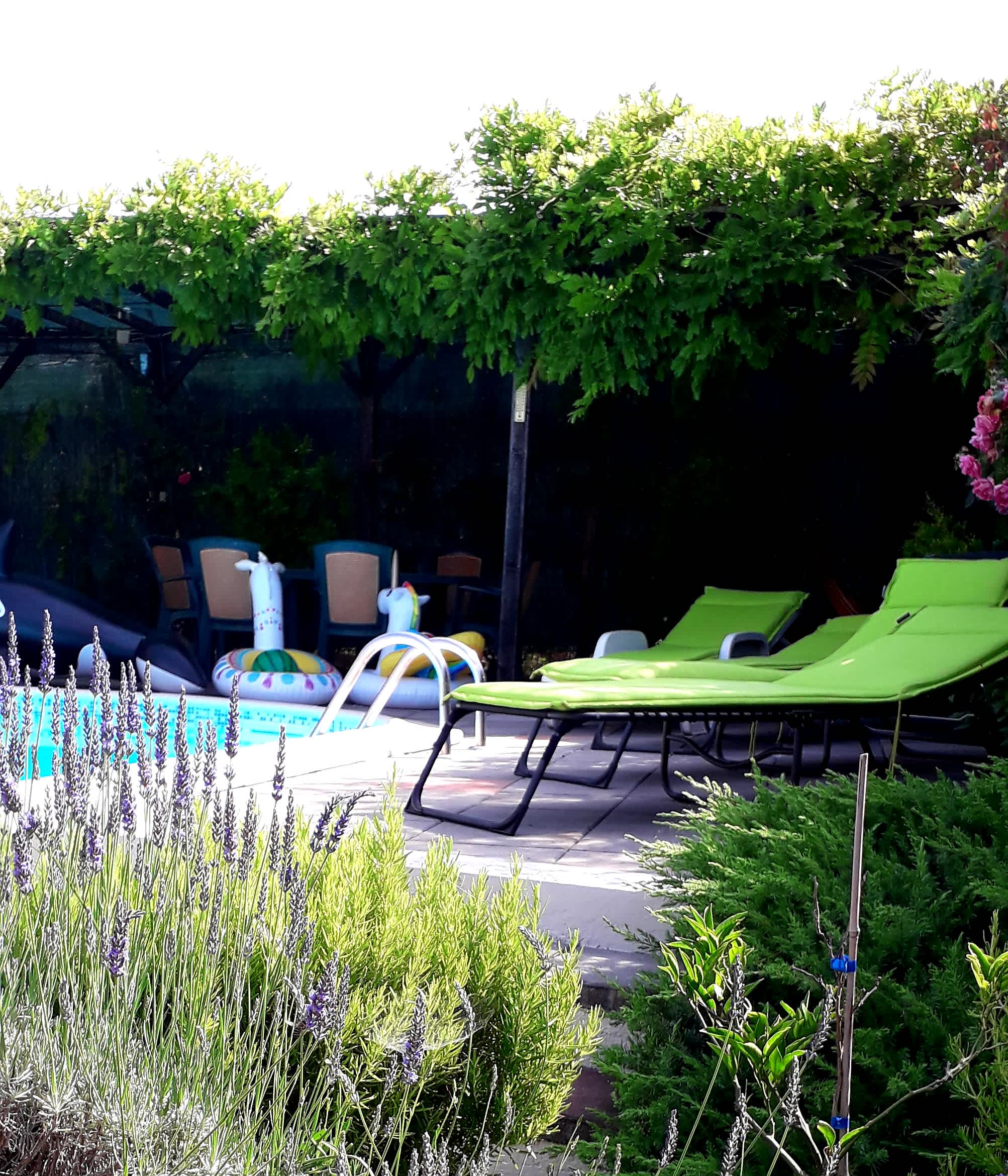 Kamena Lodge - Croatie