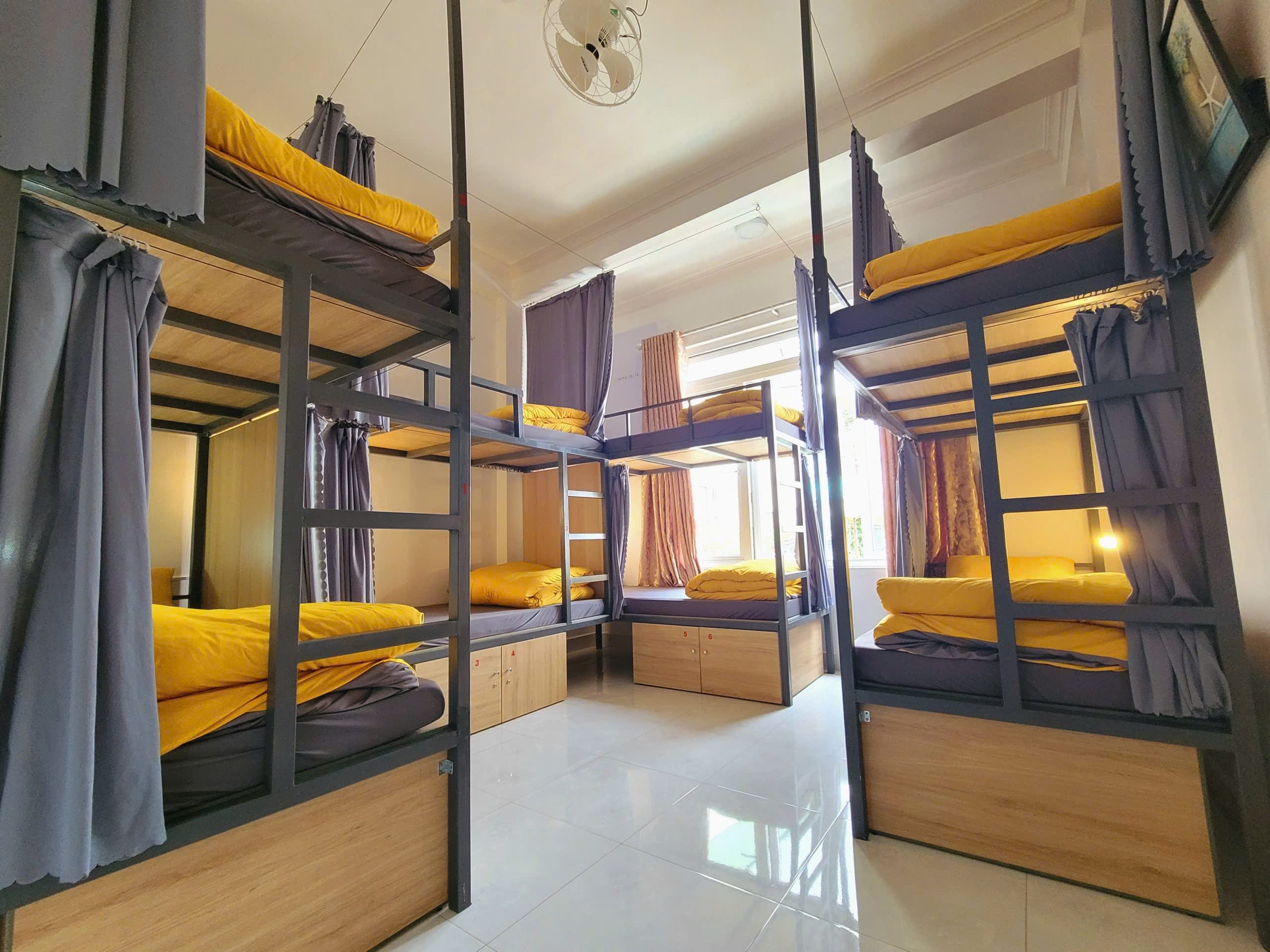 Tiny Tigers - Đà Lạt