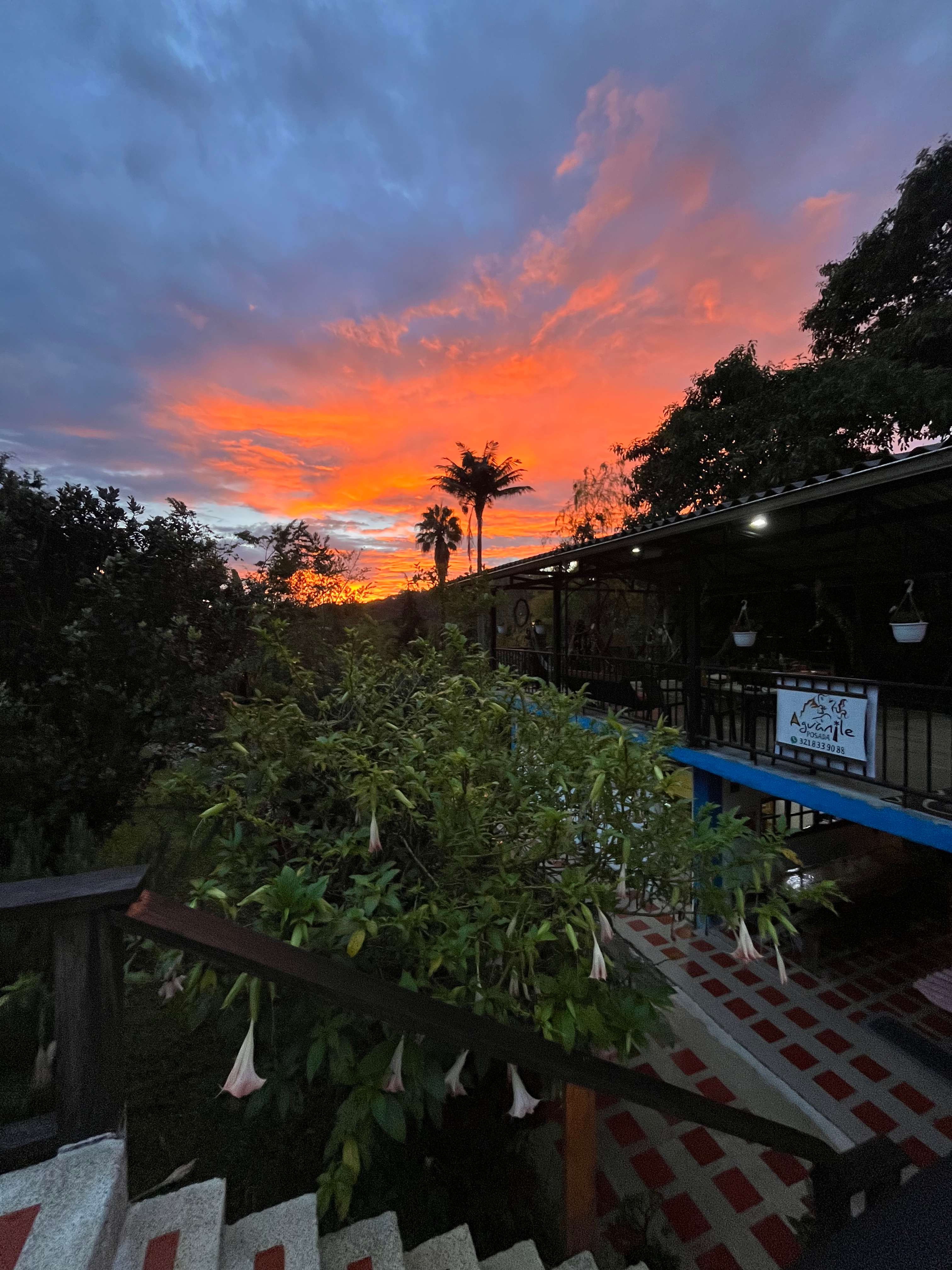 Posada Aguanile Finca La Diana - Quindío