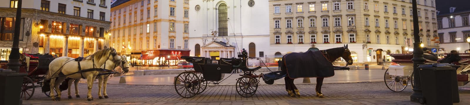 Ostelli a Vienna con cucina a partire da €2.92 | 2026