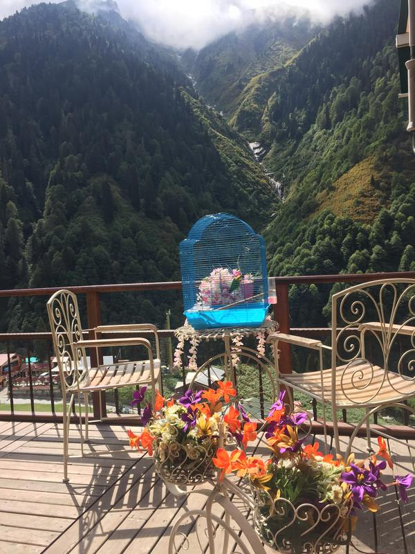 Ayder Doga Resort in Ayder, Turkey - Find Cheap Hostels and Rooms at ...