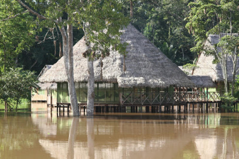 Amazonian Trips - Chullachaqui Eco Lodge in Tamshiyacu, Peru - Find ...