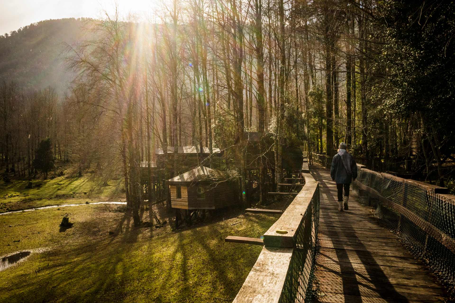 Huilo Huilo Canopy Village in Panguipulli, Chile - Find Cheap Hostels ...