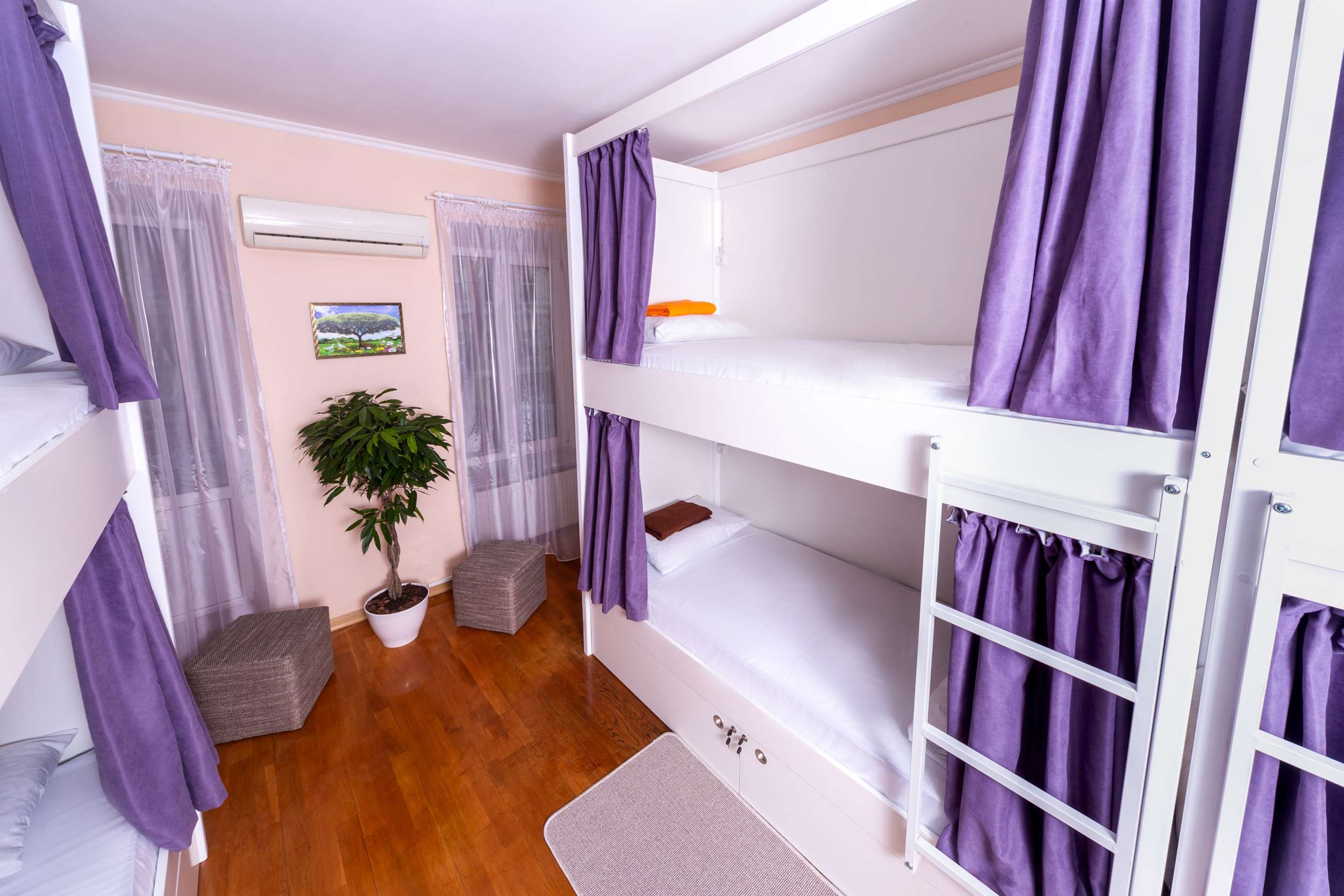 Hostel Friends House, Odessa - 2024 Prices & Reviews - Hostelworld