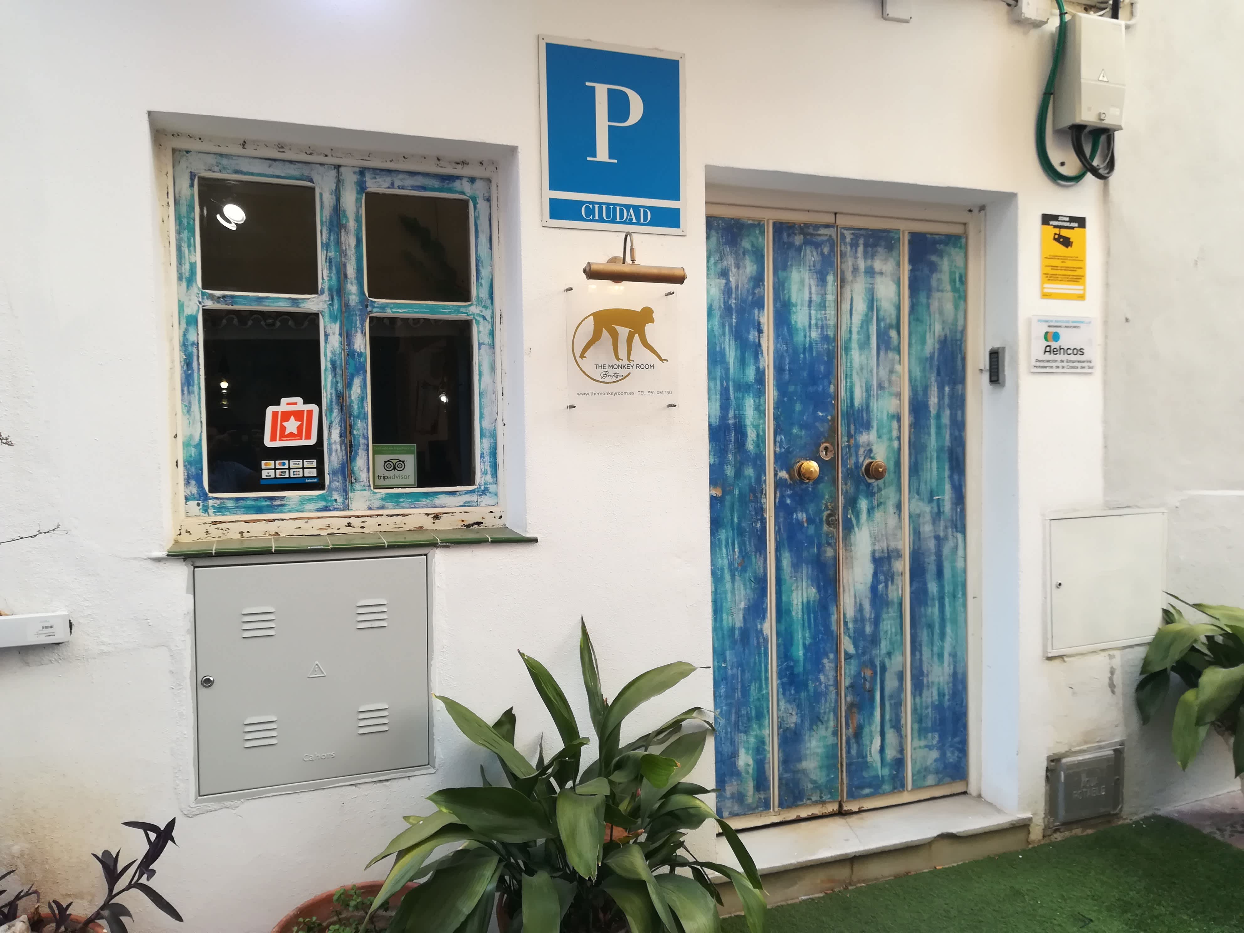 The Monkey Room, Marbella - 2024 Prices & Reviews - Hostelworld