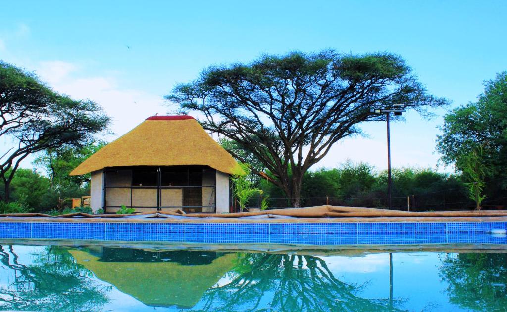 Abenab Lodge & Safaris, Grootfontein - 2024 Prices & Reviews - Hostelworld