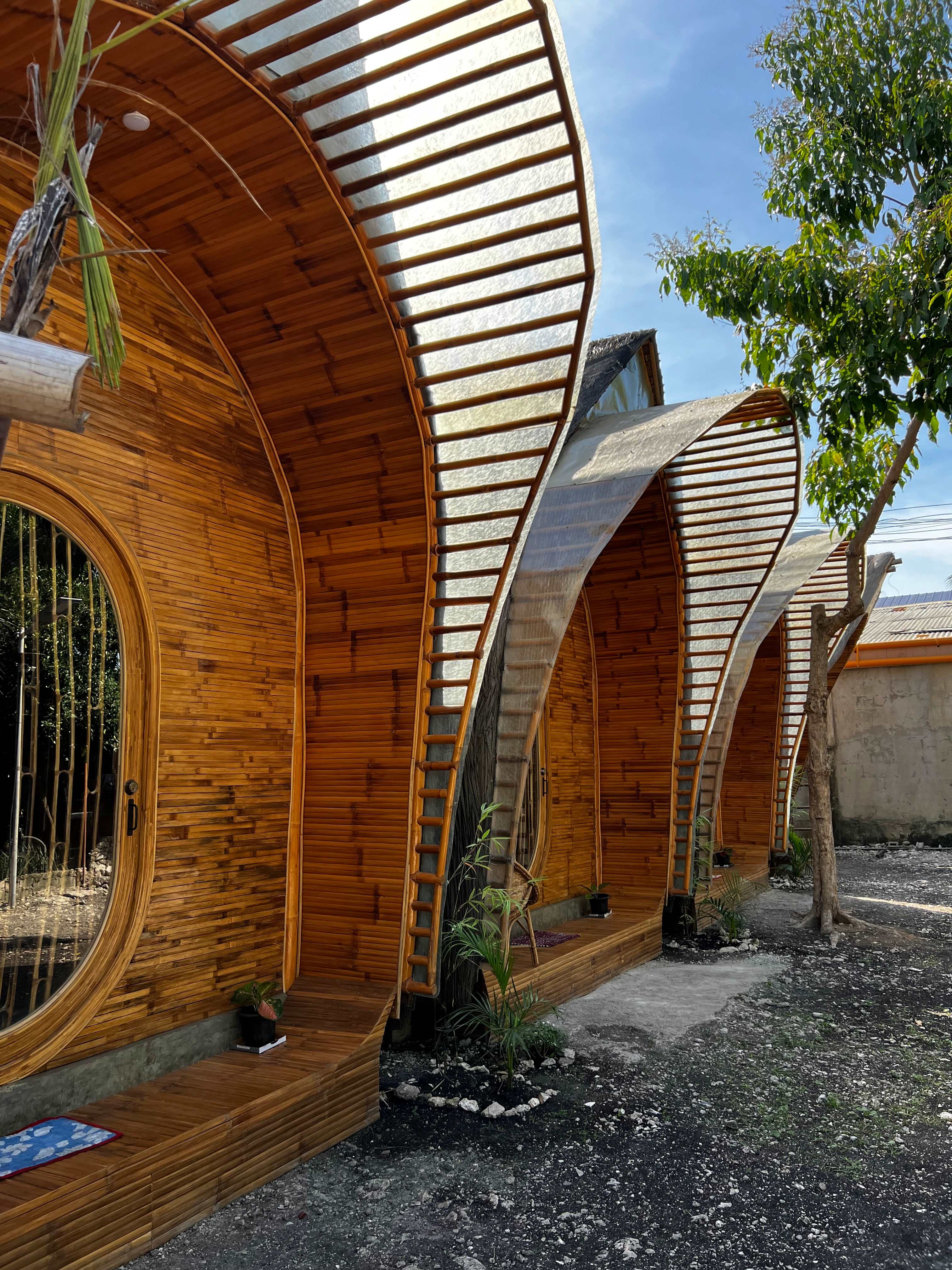 The Backyard Inn, Moalboal - 2024 Prices & Reviews - Hostelworld