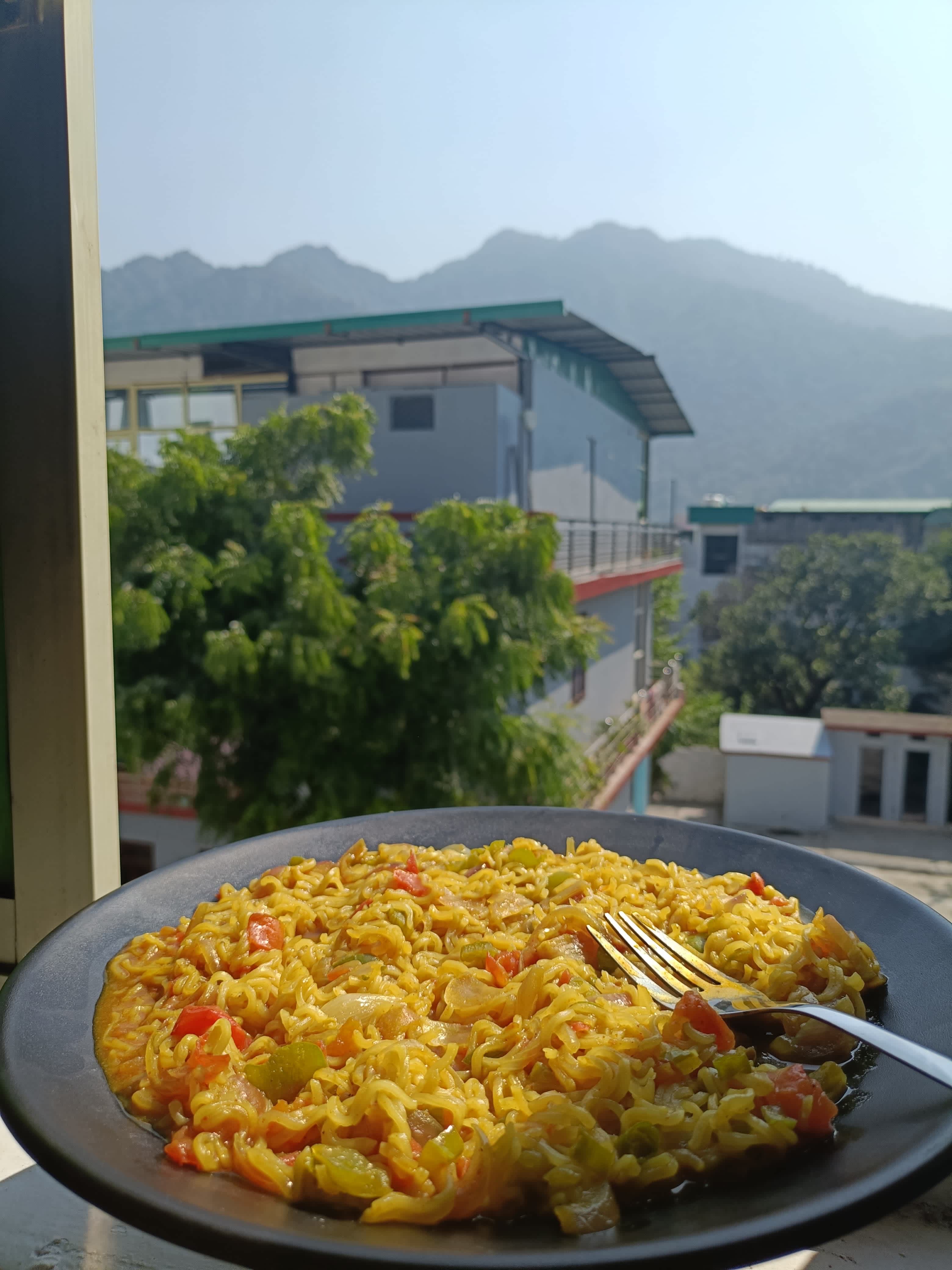 The GreenView HomeStay em Rishikesh, Índia - Localize hostels e quartos ...